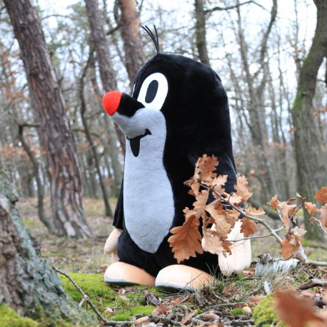 Little Mole. A popular hero who brings happiness to everyones life.