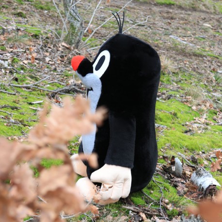 Little Mole. A popular hero who brings happiness to everyones life.