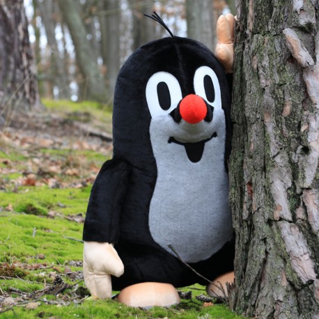 Little Mole. A popular hero who brings happiness to everyones life.